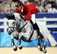 Horse Sport Consulting | Calato